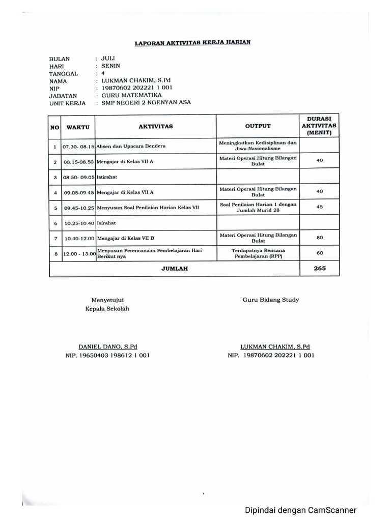 Contoh Laporan Harian TPP | PDF