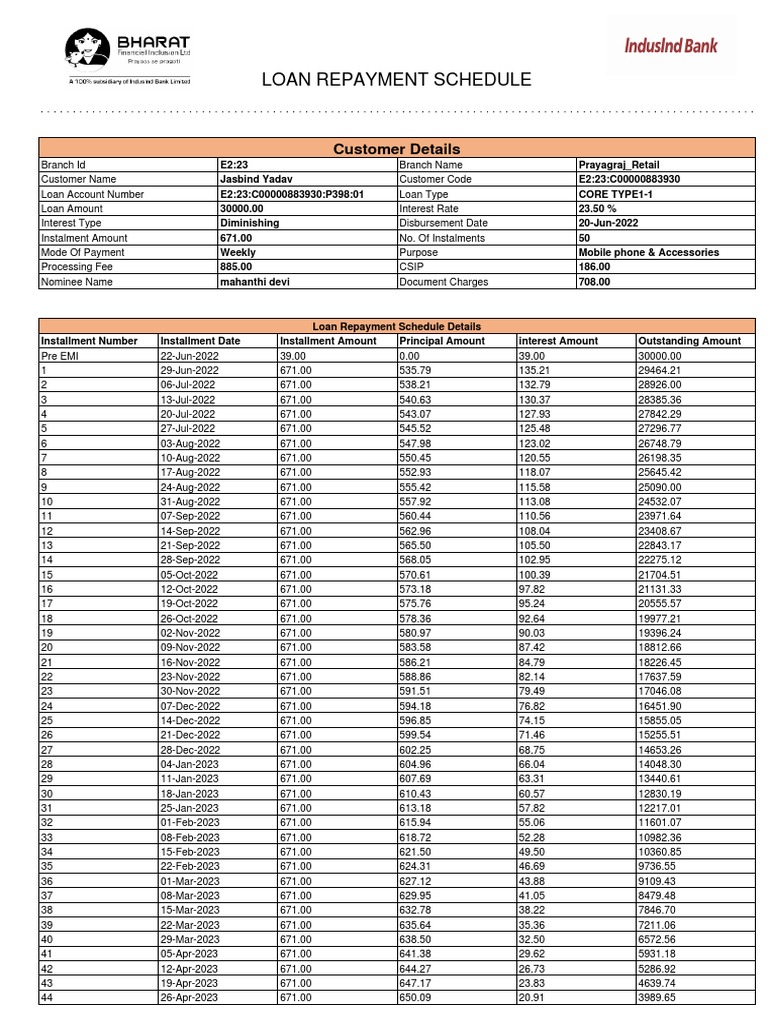 Loan Repayment Schedule: Customer Details | PDF | Insurance | Loans