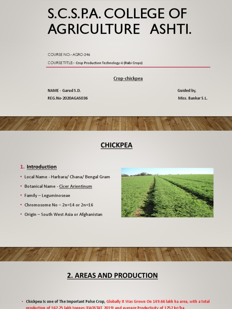 Chickpea ppt presenatation | PDF | Chickpea | Legume