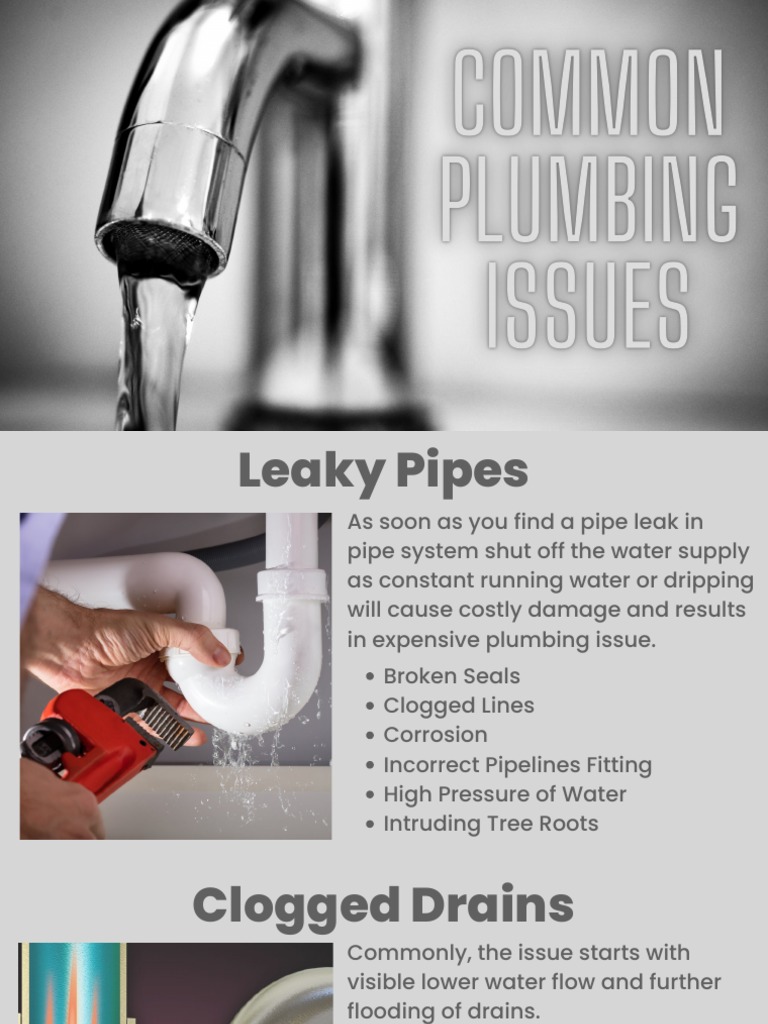 Common Plumbing Issues | PDF