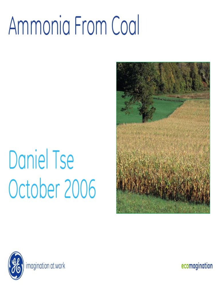 Daniel Tse Ammonia From Coal | PDF | Gasification | Coal