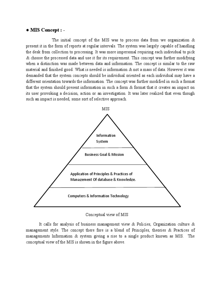 MIS Part1 | PDF | Management Information System | Information