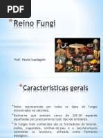 Cruzadinha Sobre Os Fungos PDF | PDF