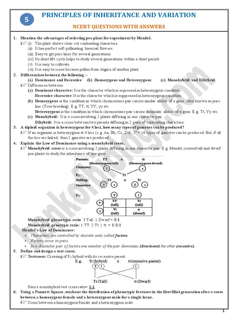 5 Principles of Inheritance and Variation-NCERT Questions N Answers ...