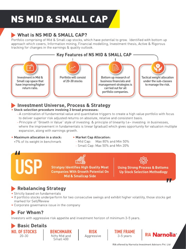 What Is Ns Mid & Small Cap? | Descargar gratis PDF | Investing | Stocks