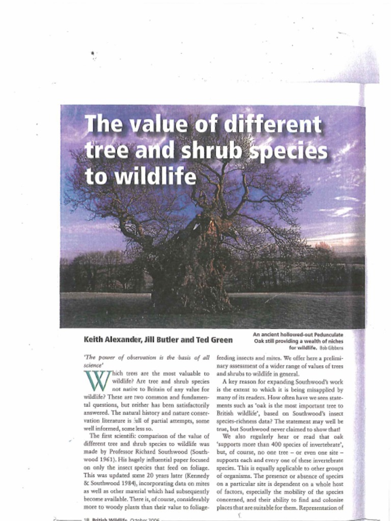 Value of Tree and Shrubs To Wildlife | PDF
