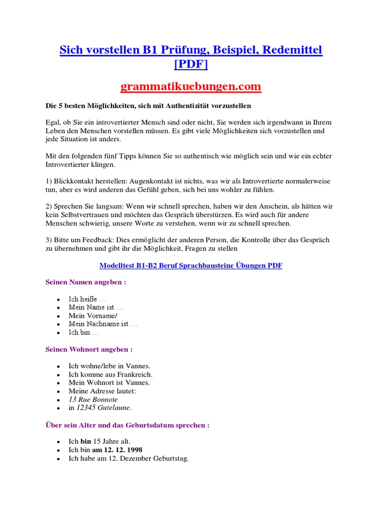 Sich Vorstellen B1 Prufung Beispiel Redemittel | PDF