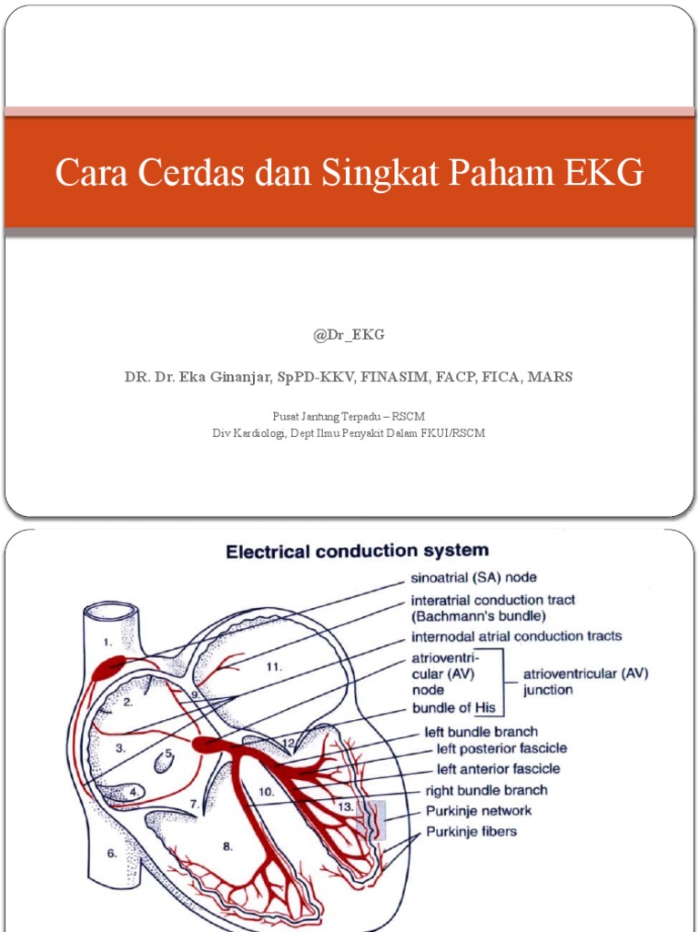 Panduan EKG untuk Profesional Medis | PDF