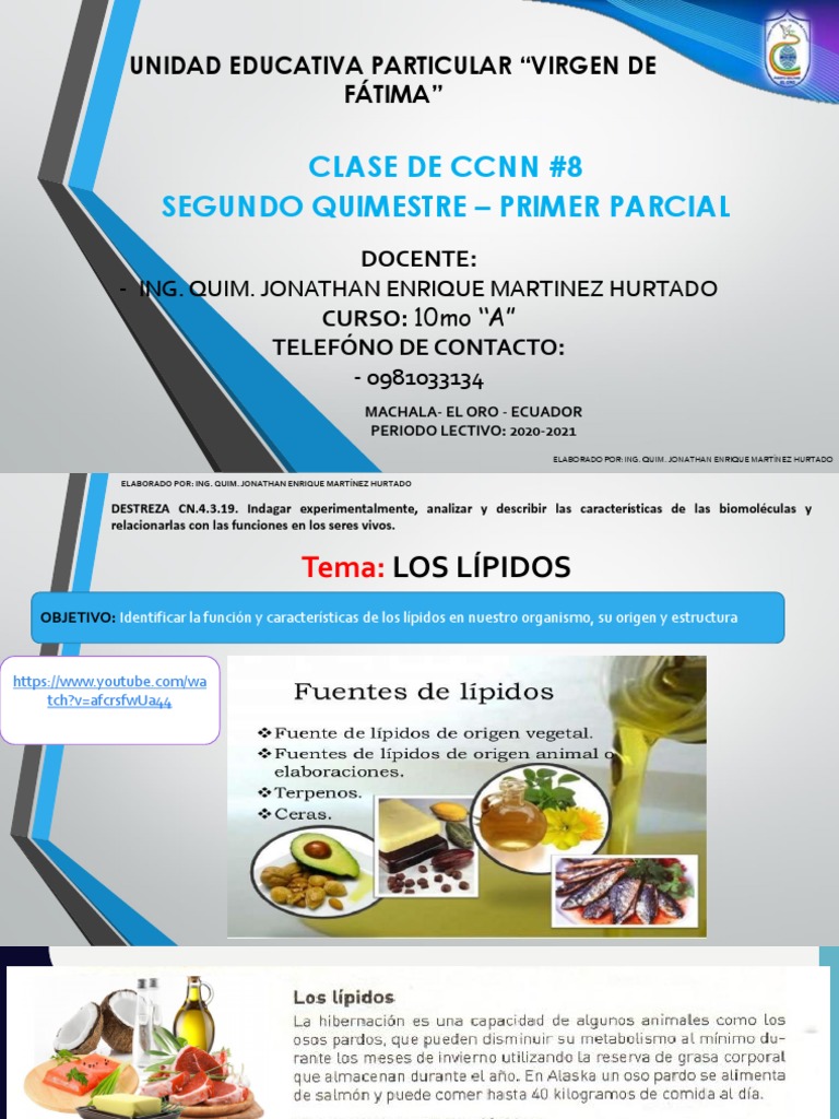 Clase 9 CCNN 10mo | PDF