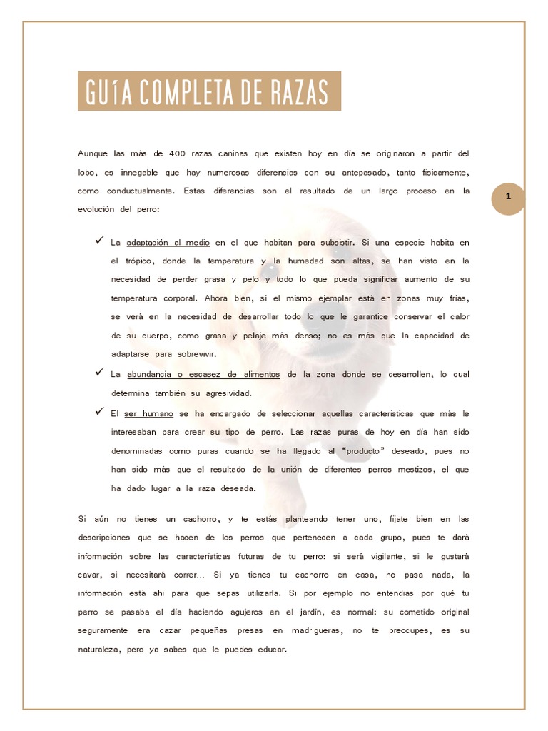Guia Completa de Razas de Perros | PDF | Terriers | Perdiguero