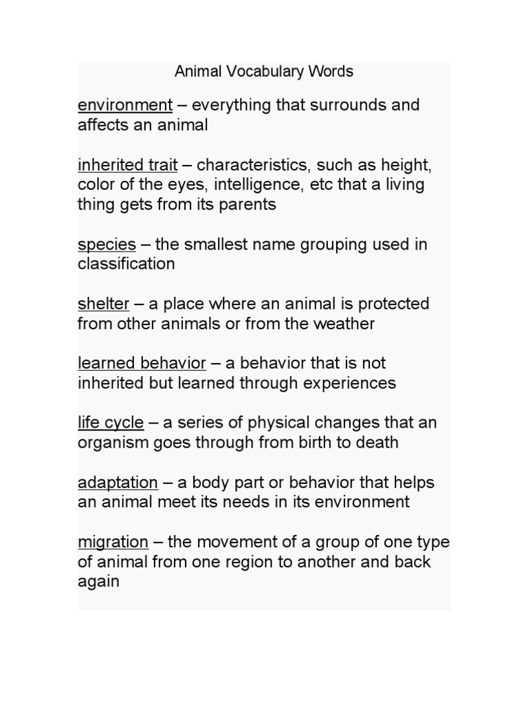 Animal Vocabulary for Students | PDF