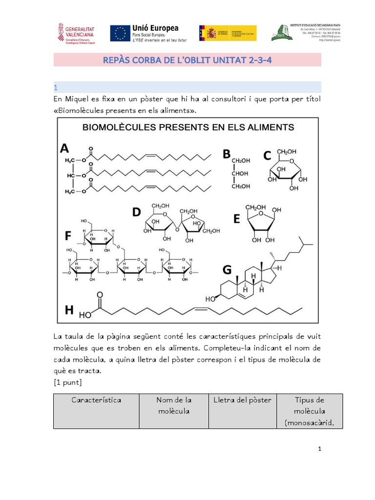Actividades Bioquímica 2 Bach | PDF