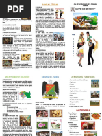 Triptico de Pasco | PDF | Alimentos | Naturaleza