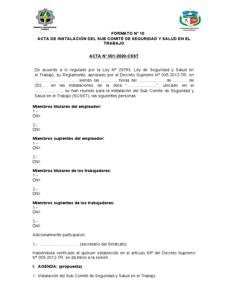 Acta instalación SCSST obra construcción | PDF | Gobierno