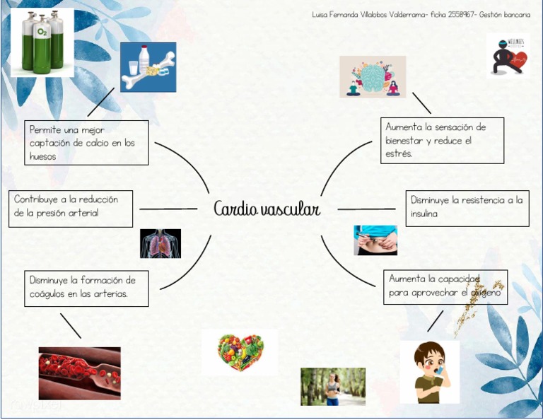 Mapa Mental Cardio Vascular | PDF