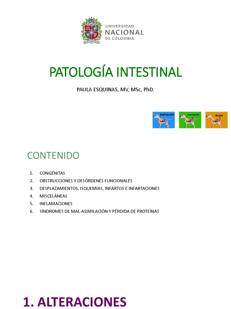 Patologia Intestinal | PDF | Escherichia coli | Salmonela