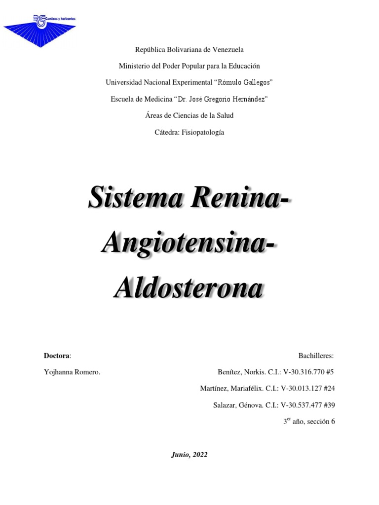 #3 - Sistema Raa | PDF | Angiotensina | Riñón
