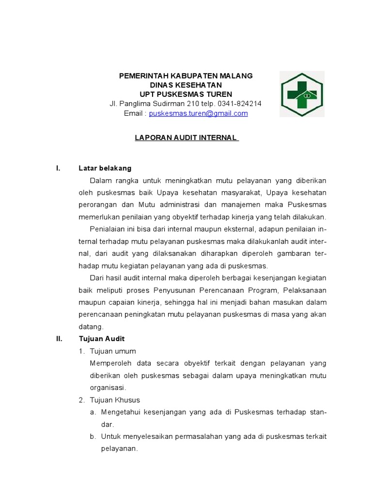 Laporan Audit 2022 Semester 1 | PDF