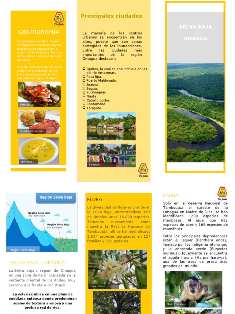 Triptico de Selva Baja | PDF | Selva amazónica | Jaguar