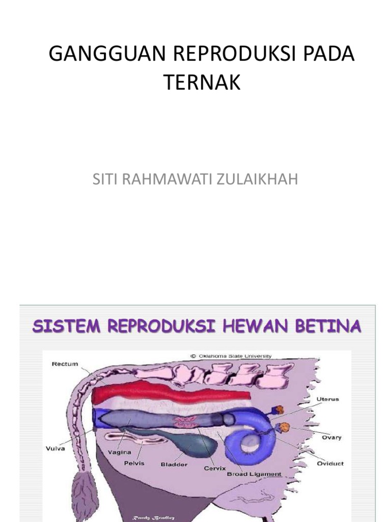 GANGGUAN REPRODUKSI PADA TERNAK - Rahma | PDF
