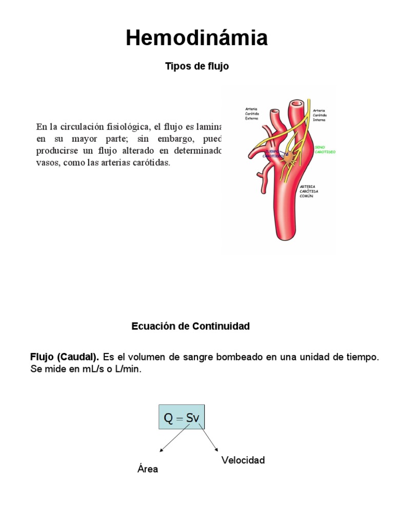 Clase Semana 9 | PDF | Viscosidad | Sistema circulatorio