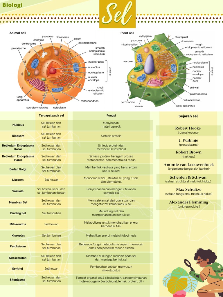 Biologi Sel | PDF