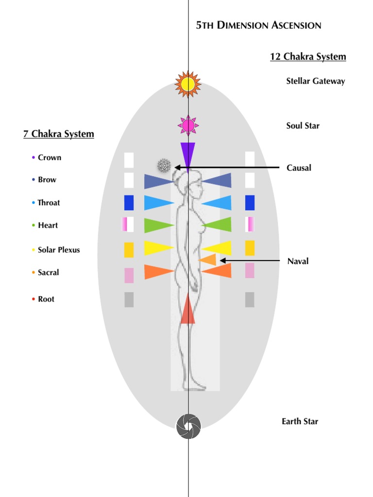 12 chakra Diagrams Color | PDF