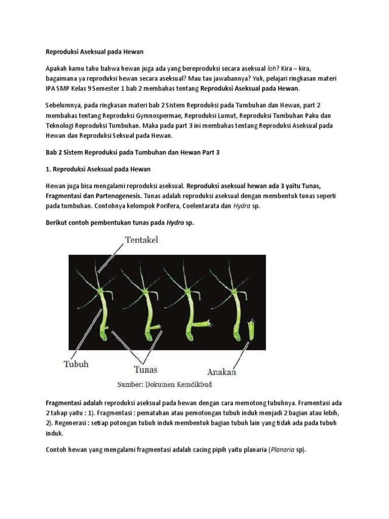 Reproduksi Aseksual pada Hewan | PDF