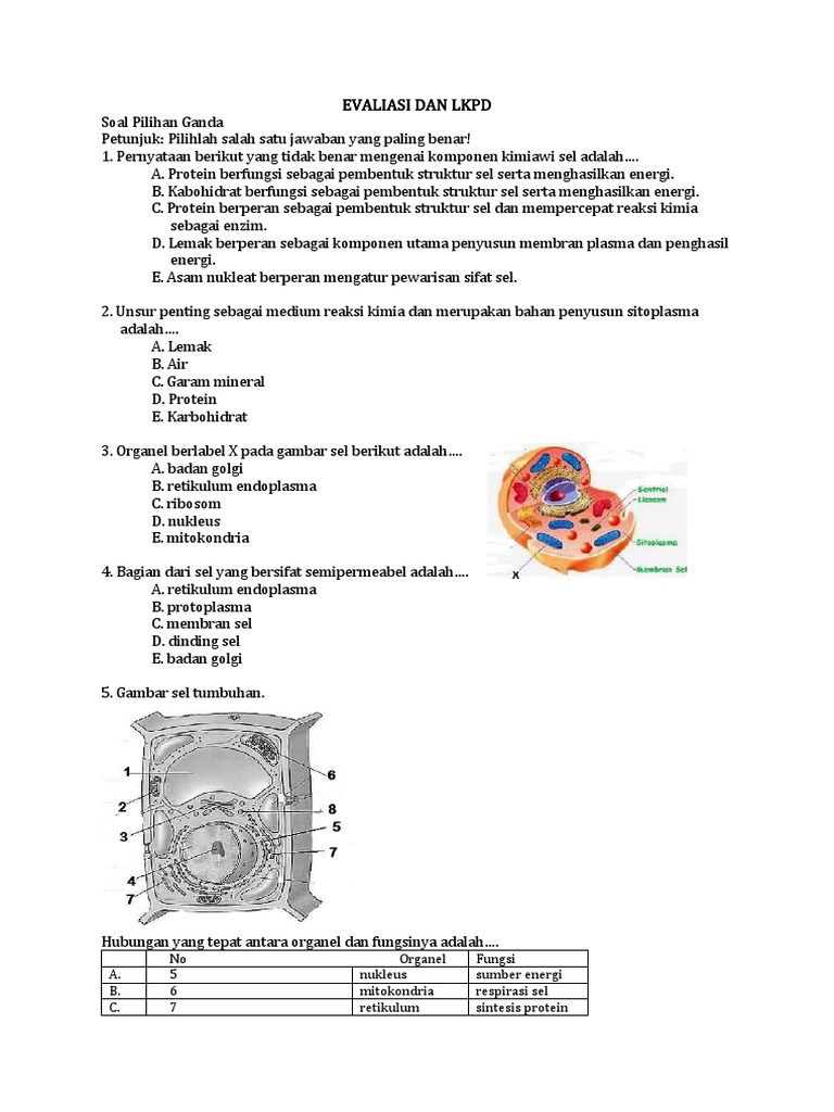 Soal dan LKPD Biologi Kelas XI | PDF | Sains & Matematika