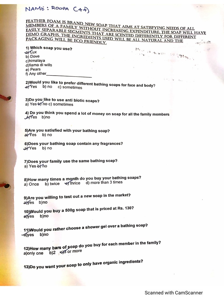 Sample Entrepreneurship Project | PDF