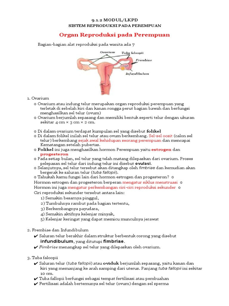 Anatomi dan Fungsi Organ Reproduksi Wanita | PDF