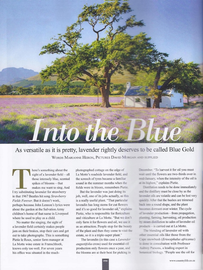 Country Life Magazine | PDF