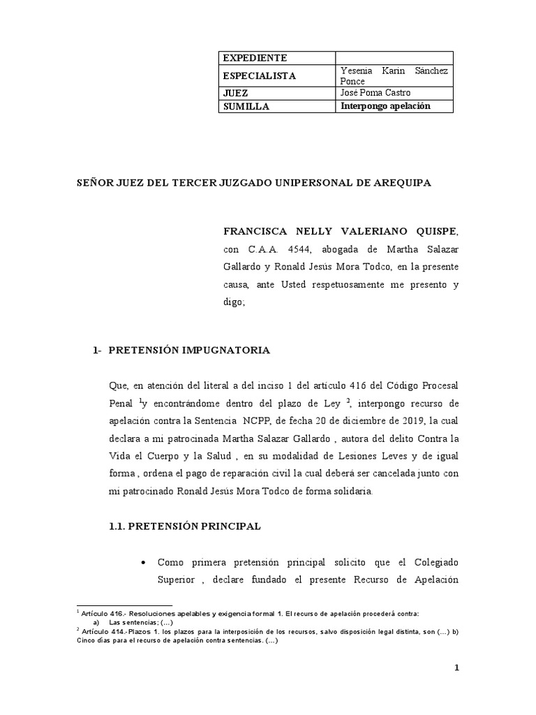 Modelo de Escrito de Apelacion de Sentencia Delito de Lesiones | PDF ...