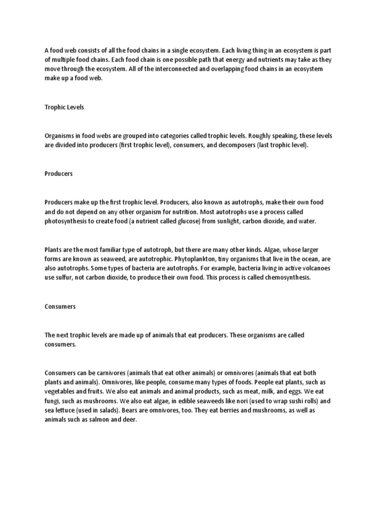 Food Web | PDF | Food Web | Biomass (Ecology)