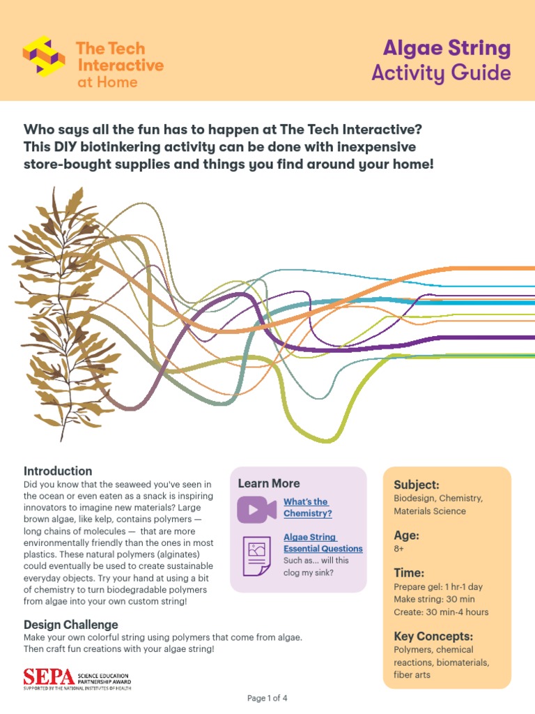 Activity Guide: Algae String | PDF | Polymers | Materials