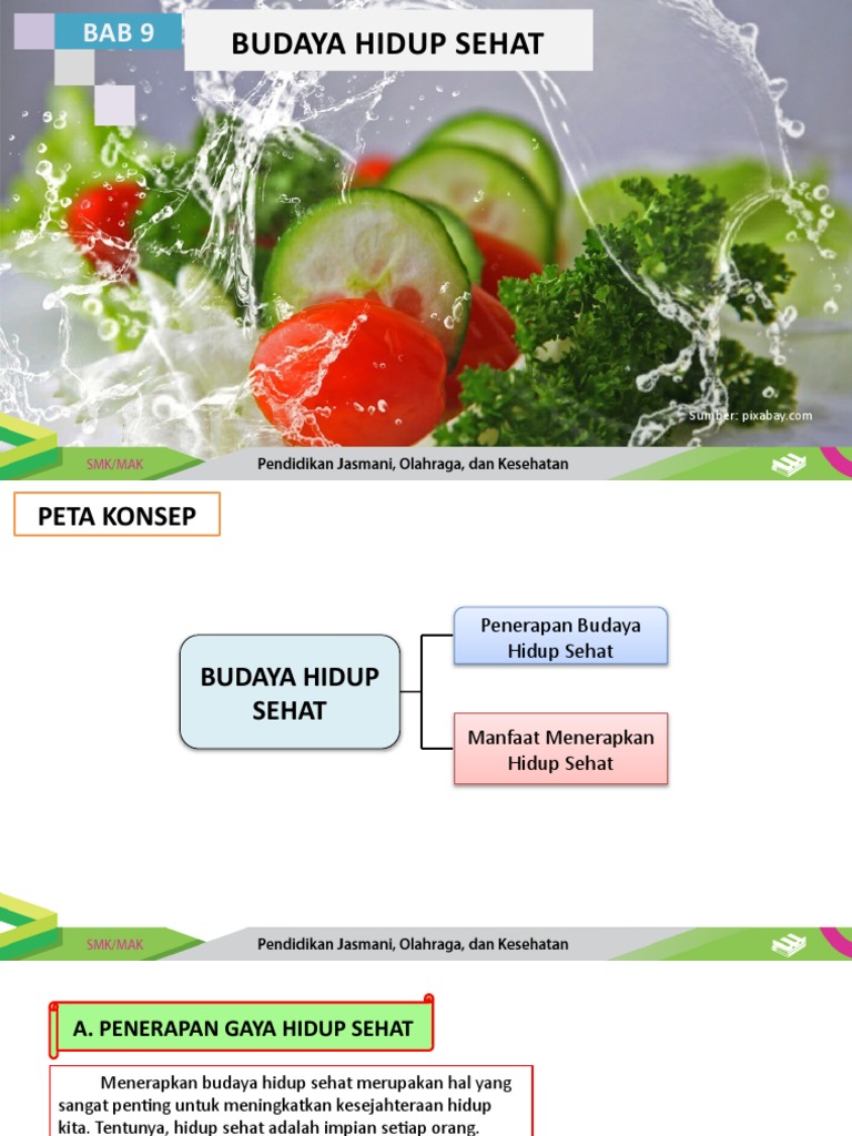 Penjas Bab9. Budaya Hidup Sehat | PDF