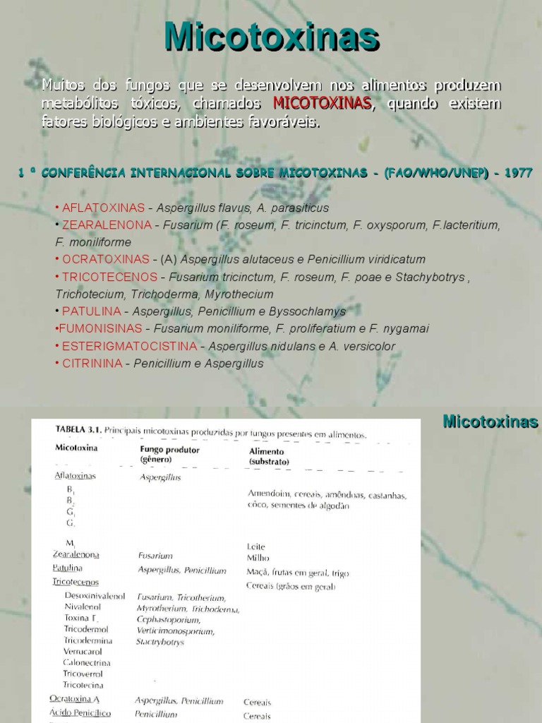 Micotoxinas em Alimentos: Tipos e Efeitos | PDF | Micotoxina | Fungo