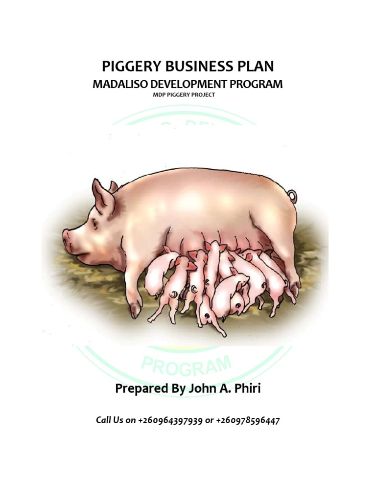 Piggery Business Plan MDP To Self Help | PDF | Expense | Pork