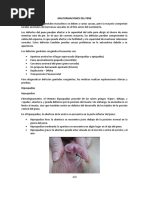 Clasificación de Fimosis Kayaba | PDF | Mamíferos machos | Pene