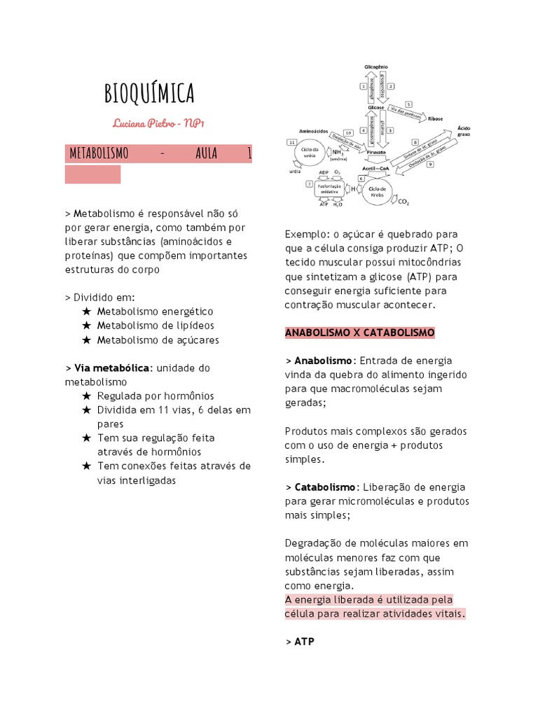 Bioquímica - Resumo | Download grátis PDF | Metabolismo | Trifosfato de ...