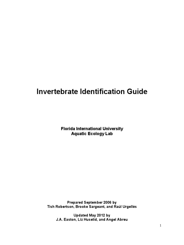 Lab Invert Guide | PDF