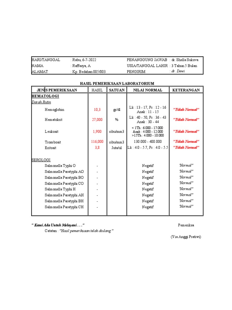 Format Pemeriksaan Laboratorium Darah Rutin Dan Widal | PDF