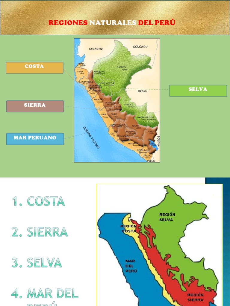 Lasregiones Del Peru. | PDF | Perú | Selva