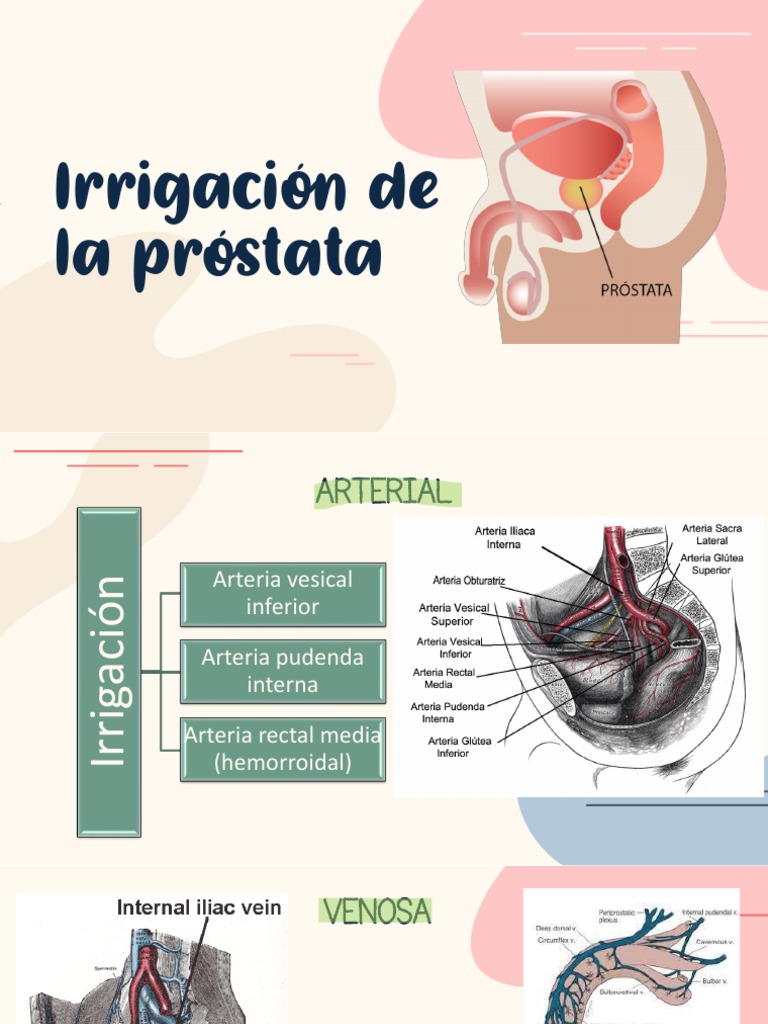 Irrigacion Prostata | PDF