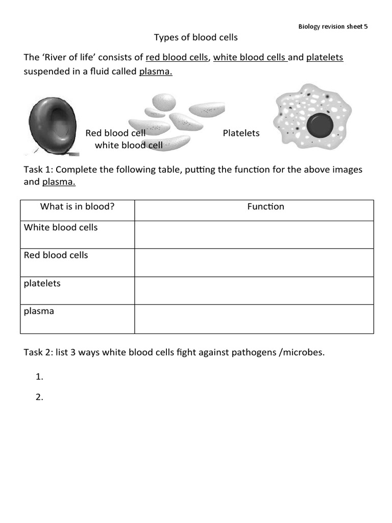 Blood | PDF | Science & Mathematics