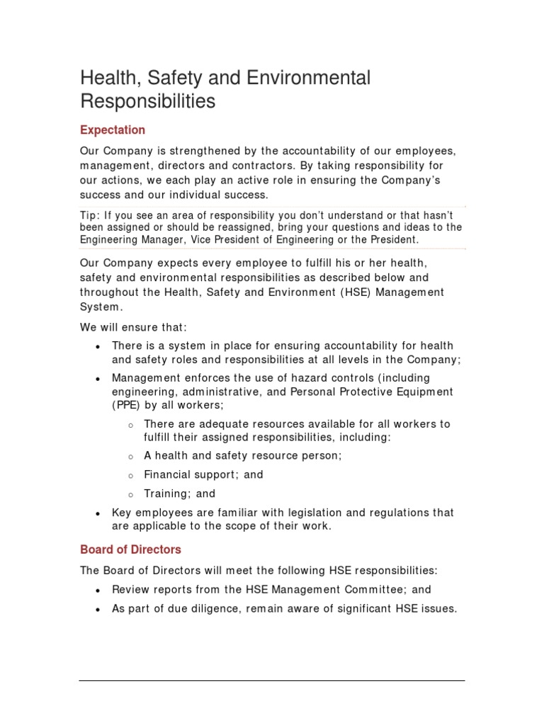 Health, Safety and Environmental Responsibilities: Expectation | PDF ...