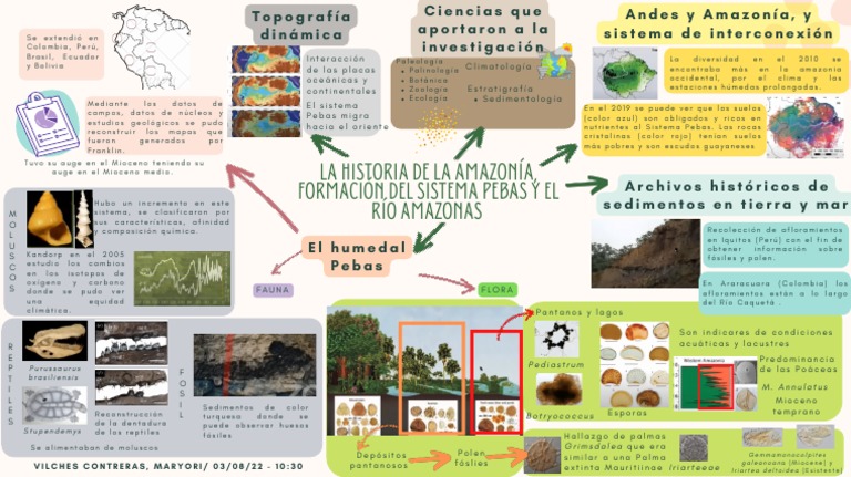 Historia del Sistema Pebas en la Amazonía | PDF | Selva amazónica | Fósil