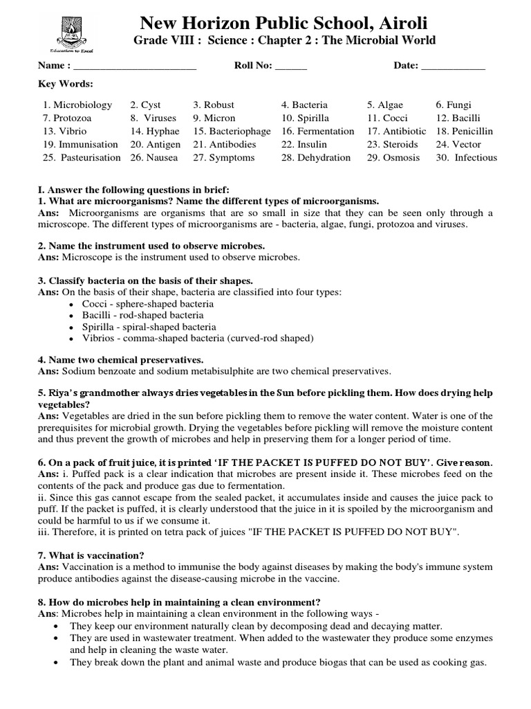 Microbial World: Class 8 Science Notes | PDF | Microorganism ...