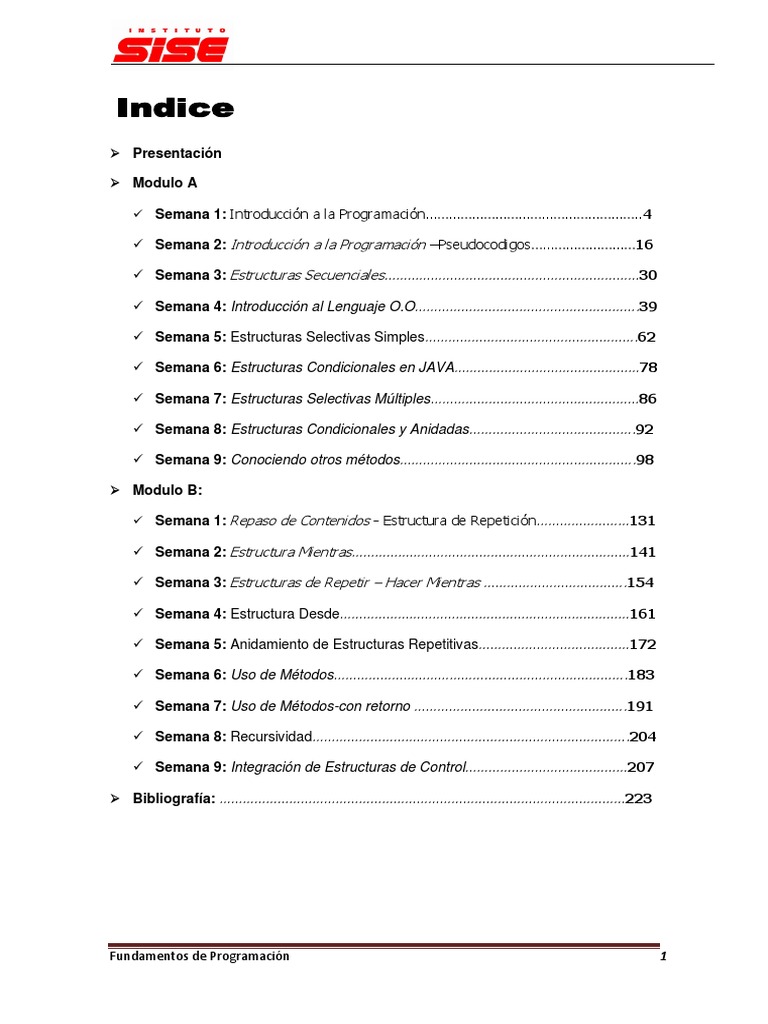 Manual de Fundamentos de Programacion - V0310 | PDF | Programación ...