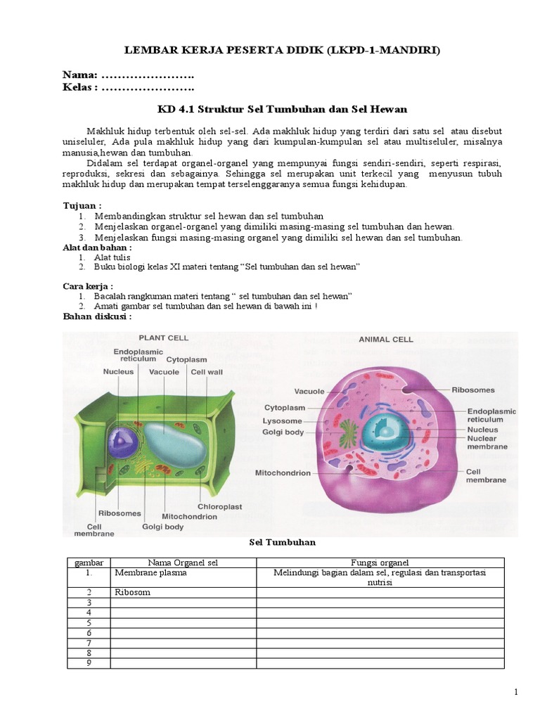 LKPD - 1 Struktur Sel | PDF